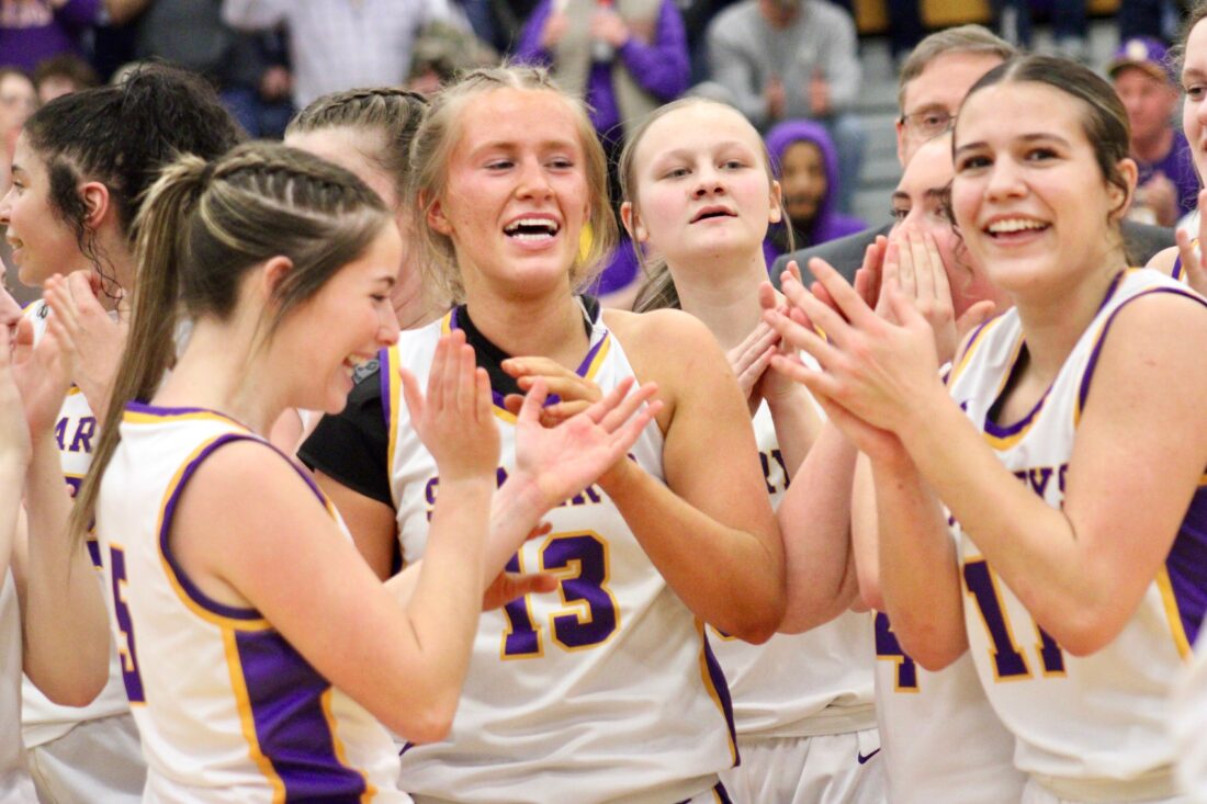 St. Marys upends Williamstown in regional co-final | News, Sports, Jobs ...